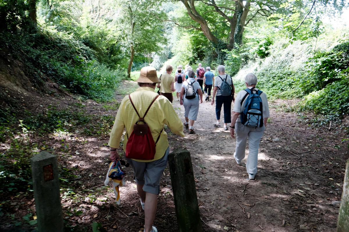 Groene wandeling 26/07/2023: Het Zoniënwoud en het zuiden van Ukkel ...